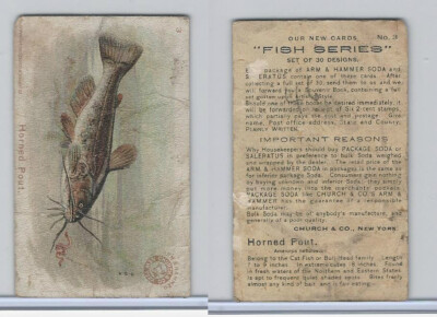 J15, Church & Dwight, Fish Series, 1900, #3 Horned Pout (B) | eBay