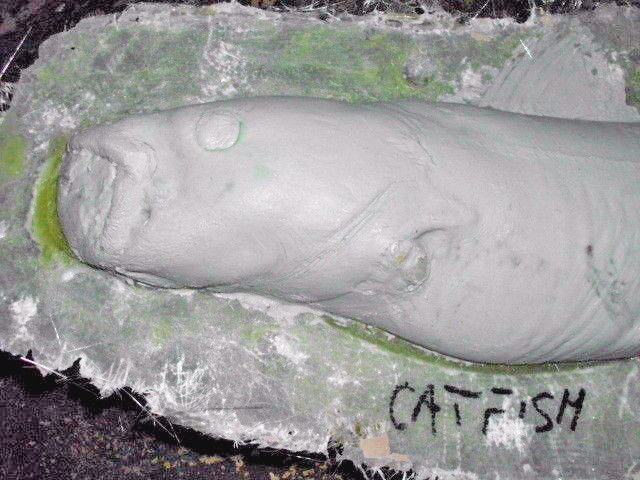 23" CHANNEL CATFISH - unpainted fiberglass reproduction blank | eBay
