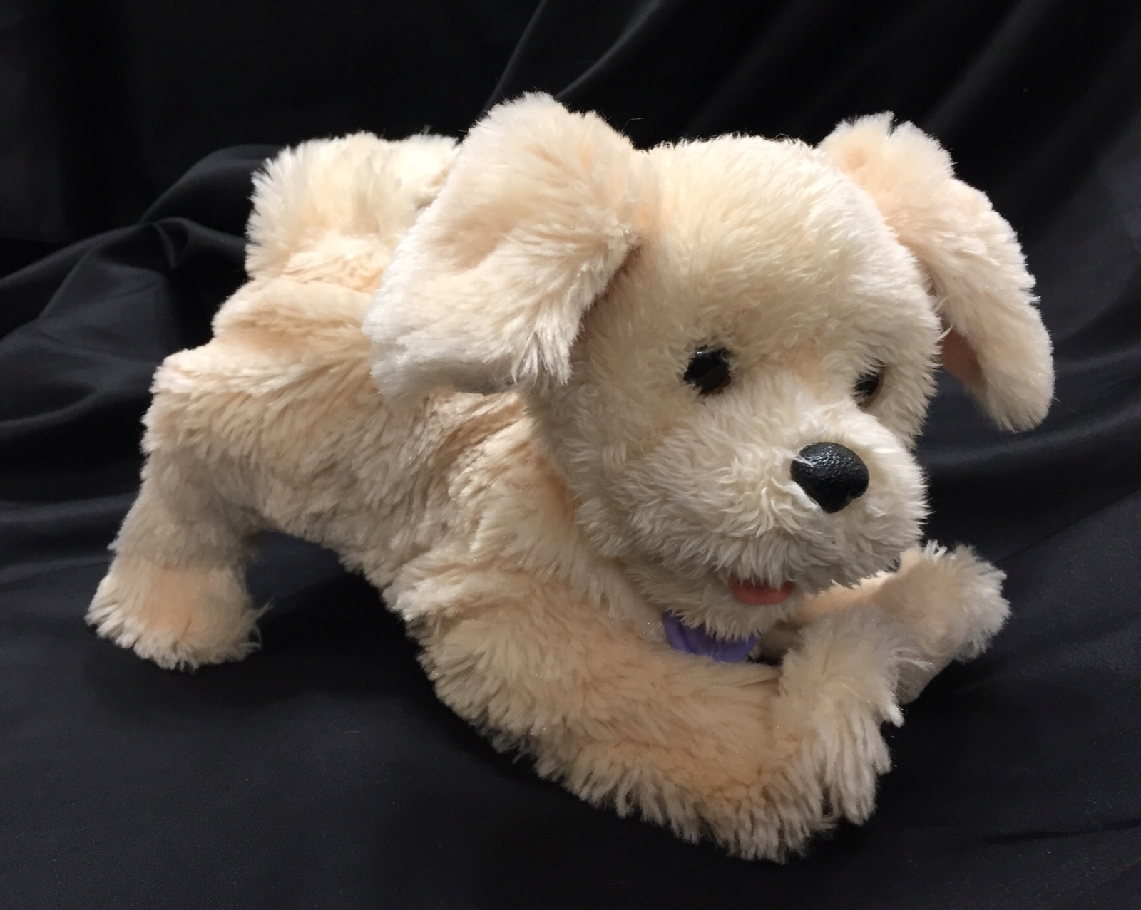 Best Hasbro Furry Dog