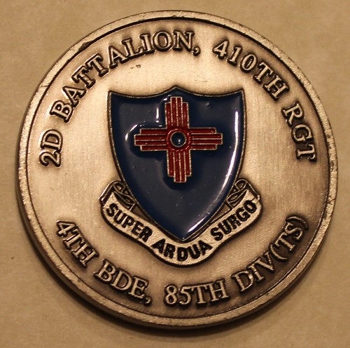 2D Battalion, 410th Regiment, 4th Bde, 85th Div (TS) Army Challenge ...