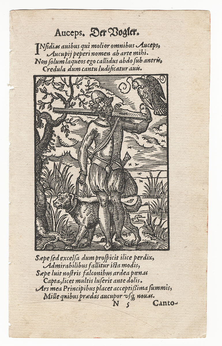 Auceps - Vogler : Holzschnitt von Jost Amman, 1568 - aus Hartmann ...