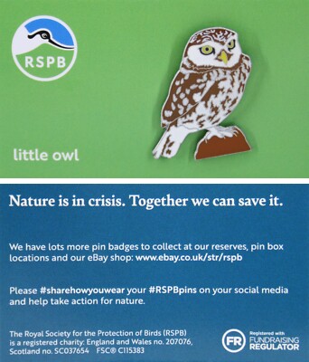 RSPB Pin Badge NIIC Little Owl P03141 | eBay UK