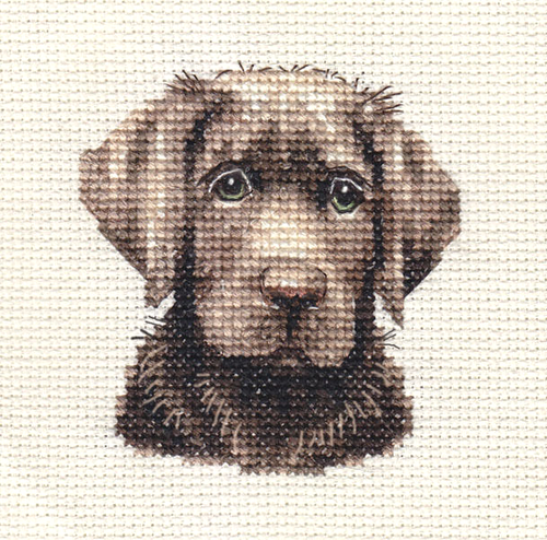 CHOCOLATE LABRADOR RETRIEVER dog pup Full counted cross stitch kit Fido ...