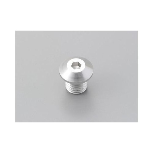 Daytona 99615 Mirror Hole Filling Bolt M10 Reverse Screw 1 Piece Silver ...