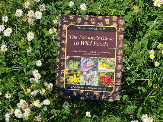 The Forager's Guide to Wild Foods by Claude Davis Sr. and Nicole ...