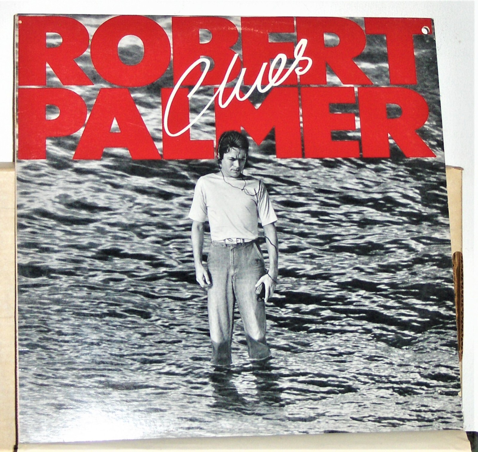 Robert Palmer Clues