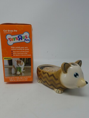 Toys R Us Pets Cat grass pet hedgehog. | eBay