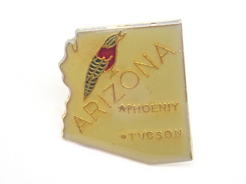 Arizona Phoenix Tucson Gold Tone Vintage Lapel Pin | eBay