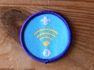 Current UK Scouting Scout Proficiency/Activity Badge Digital Citizen 3 ...