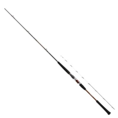 Daiwa Fishing Rod Ship Rod A-Blitz Nerai / E MH-240 / E | eBay