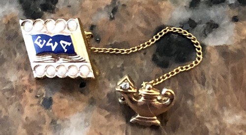 Vintage Epsilon Sigma Alpha Pin .75” 2 7/8” with chain | eBay