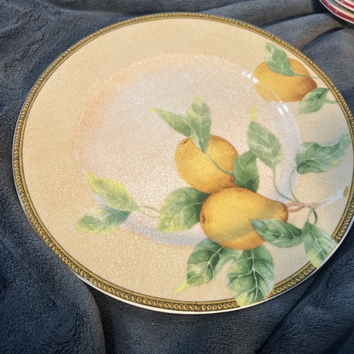 PTS International Interiors Stoneware NEWBURY 10 3/4" Dinner Plates ...