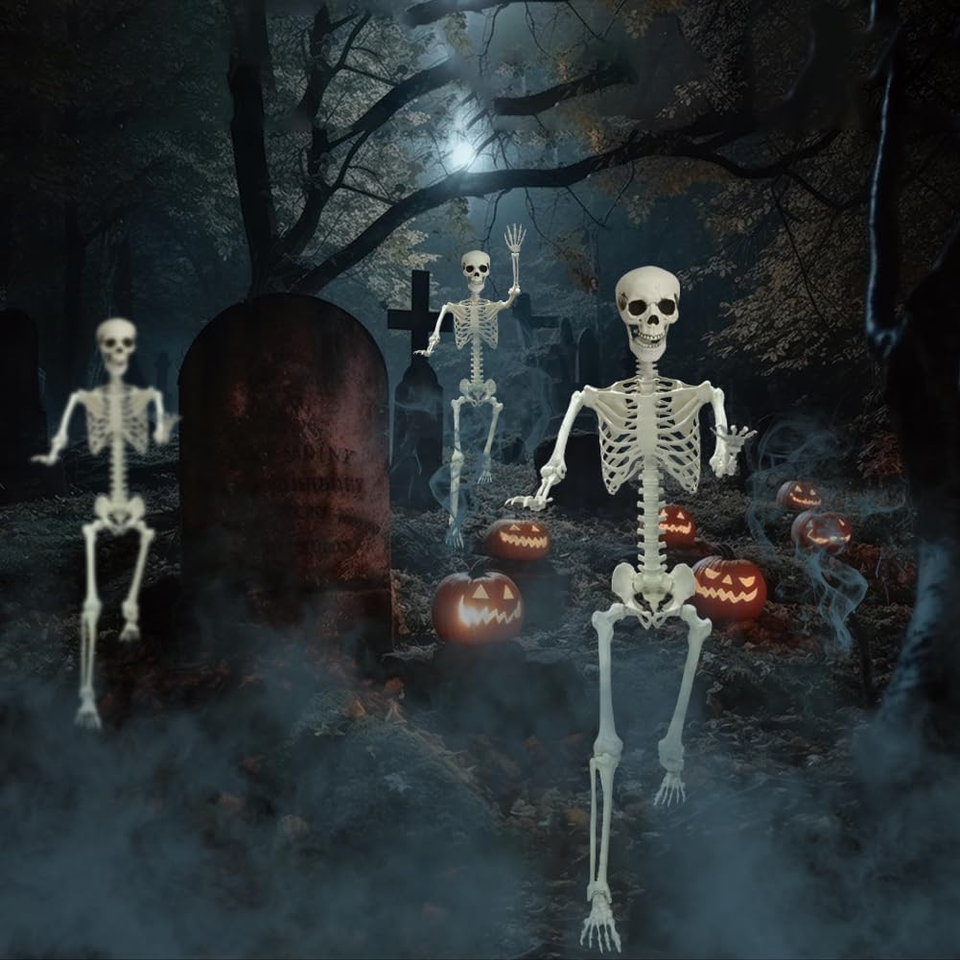 5.4FT Full Size Skeleton, Life Size Poseable Skeleton for Halloween ...