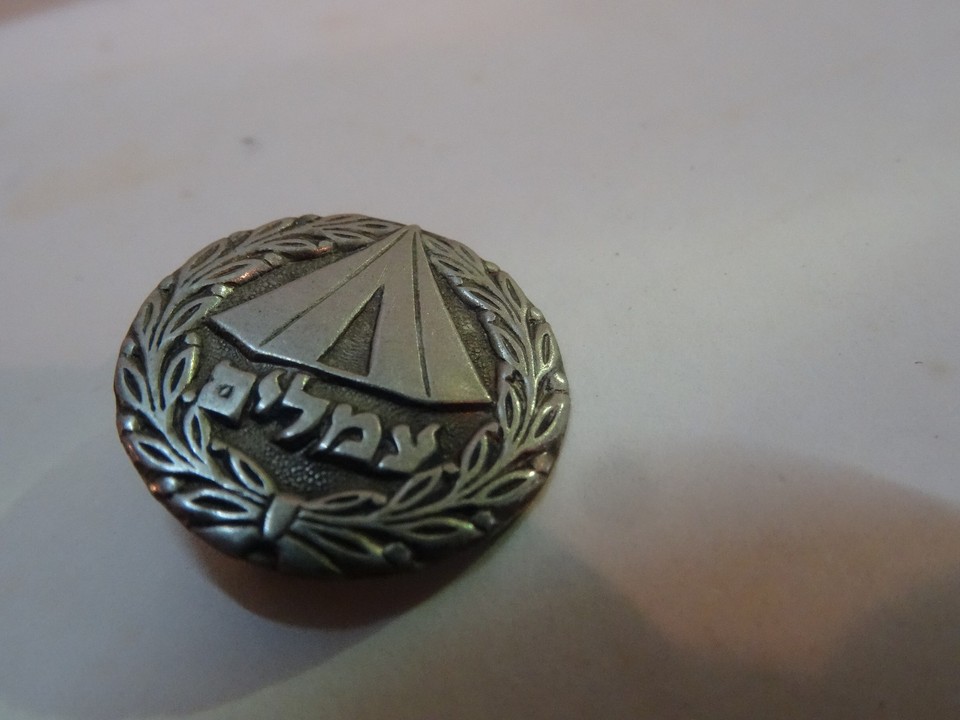 Israel Pre Military boyscouts GADNA BRASS Pin Badge from 1960's Jewish ...