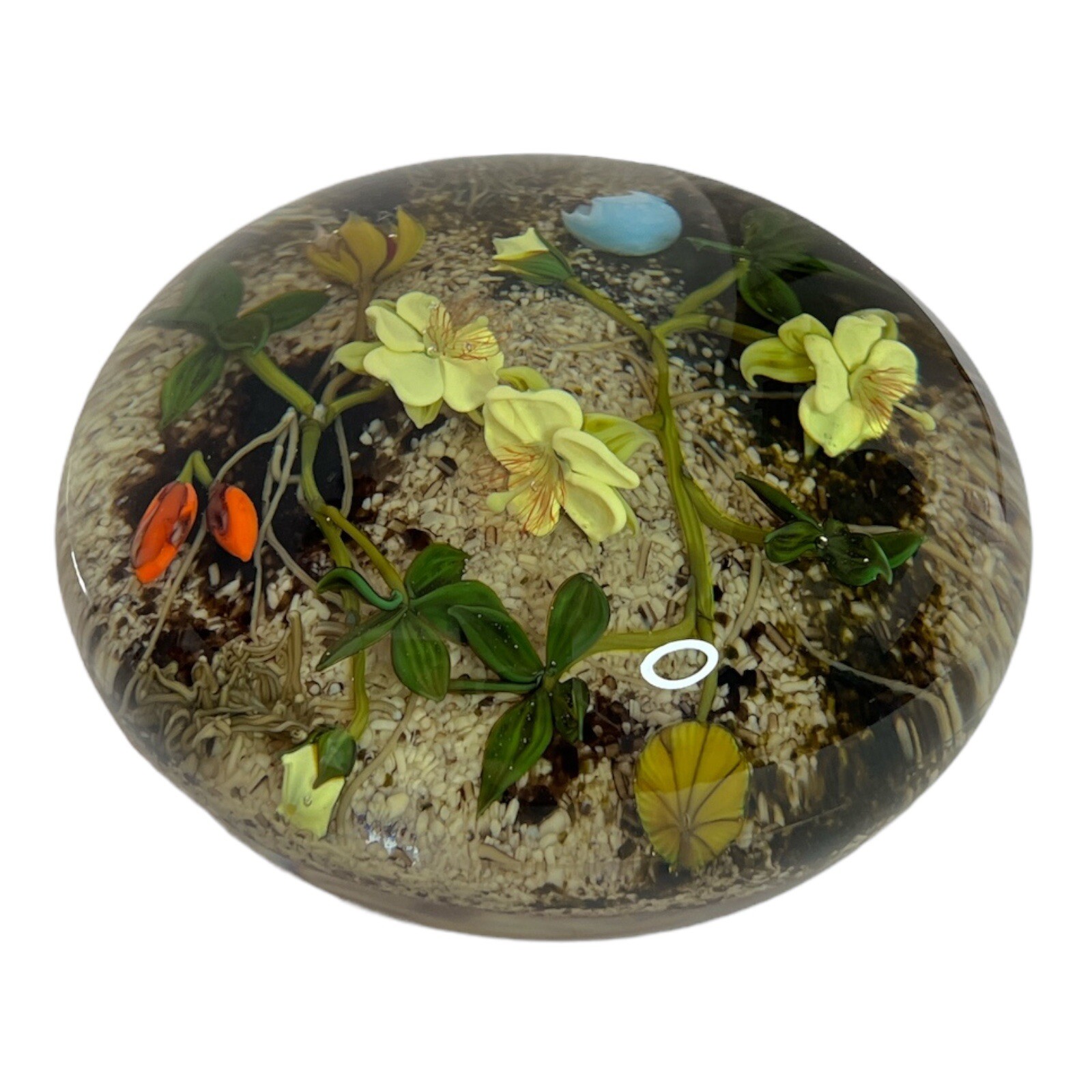 Vintage Paul Joseph Stankard Botanical Handblown Glass Paperweight A193 ...