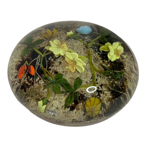 Vintage Paul Joseph Stankard Botanical Handblown Glass Paperweight A193 ...