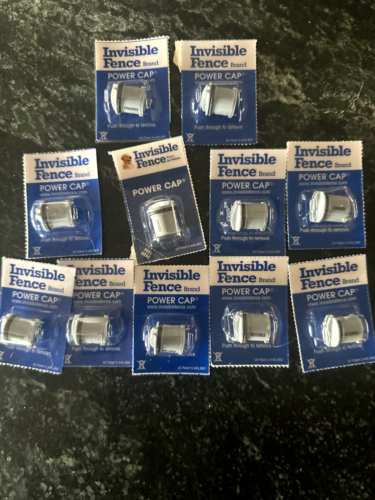 Invisible Fence Power Cap Battery OEM | eBay