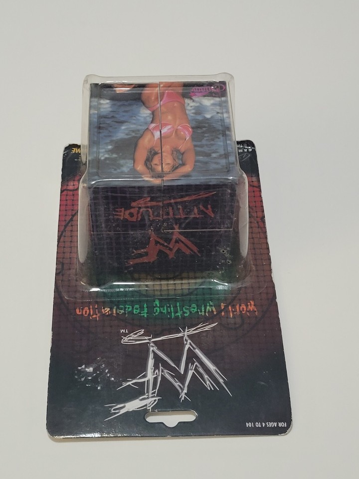 SUNNY 1998 Game Day Enterprises WWF PRO CUBE WWF WWE TAMMY SYTCH 8 PICS ...