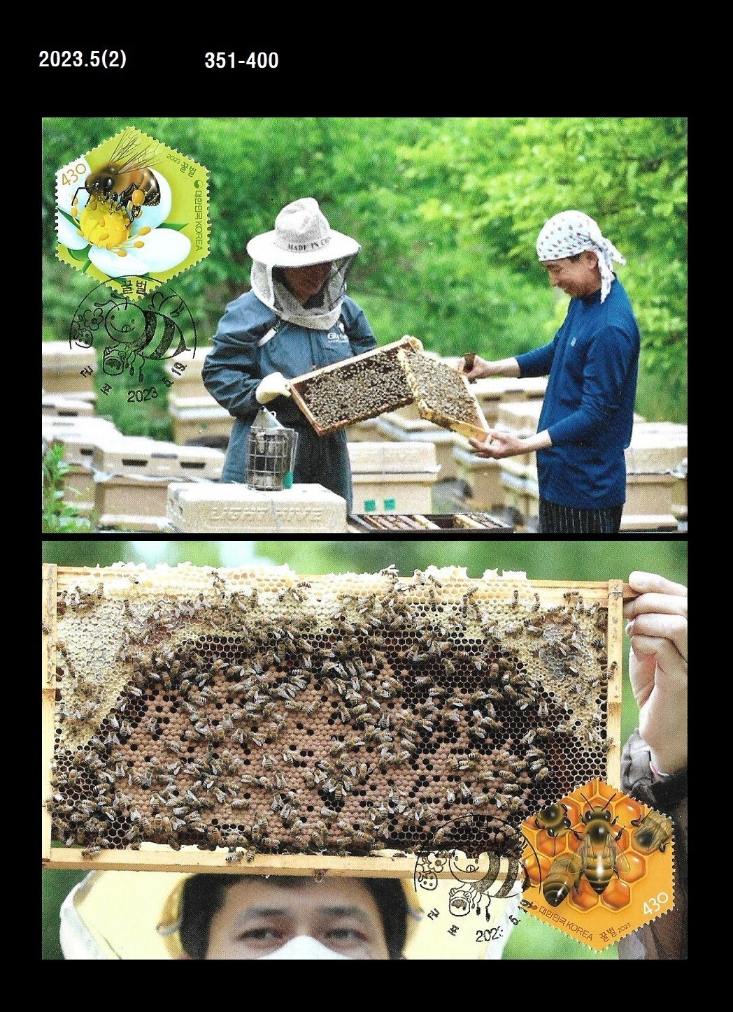 Food,Honey Bee,Insect,Apiculture,Beekeeping,Flower,Korea 2023 Maximum ...