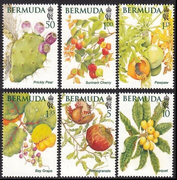 BERMUDA 2024 FRUITS OBST FRUTTA FRUTAS BLUMEN FLEURS FLORES FIORI | eBay