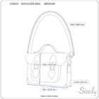 COACH Willis Coral Glovetanned Leather 22382 Crossbody Shoulder Bag ...