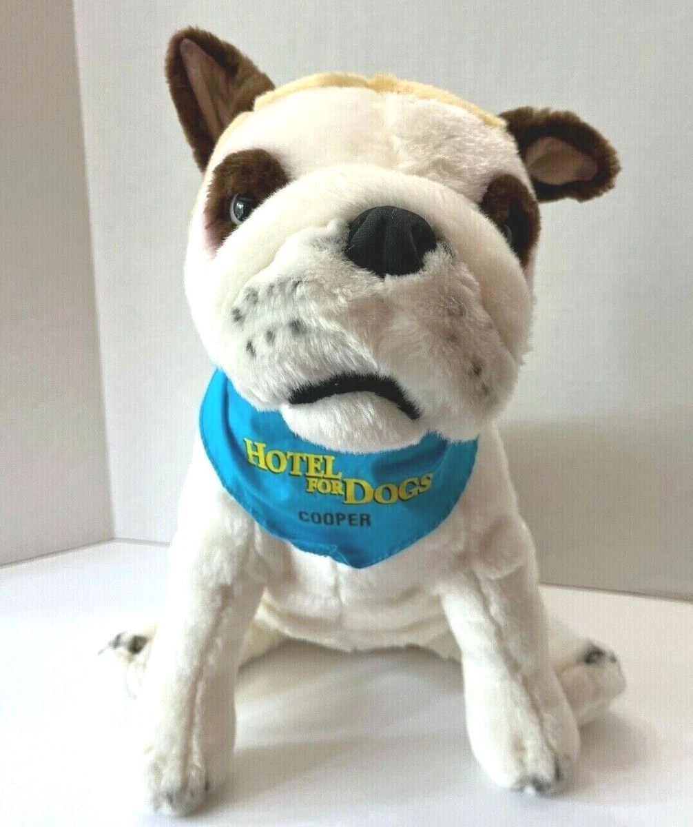 Hotel For Dogs Cooper