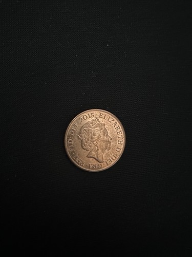 Very Rare 2015 two pence Coin 5th Portrait *all money made goes toward ...
