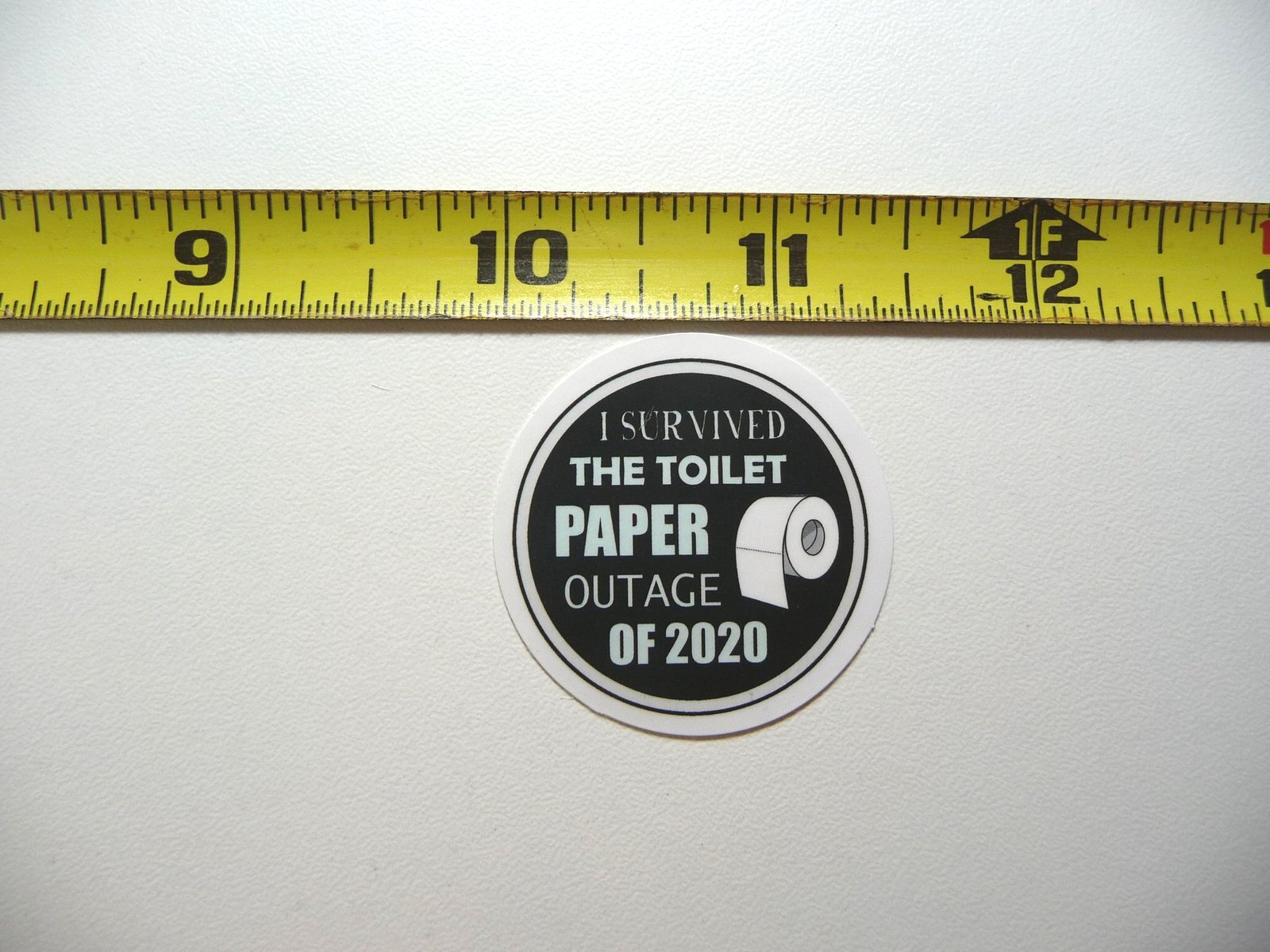 I SURVIVED THE TOILET PAPER OUTAGE OF 2020 DECAL STICKER FUNNY | eBay
