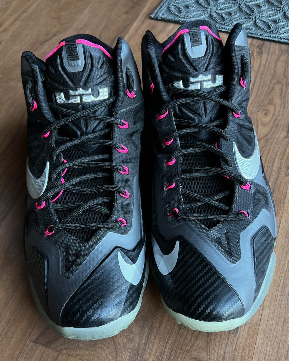 Lebron 11 Noches En Miami