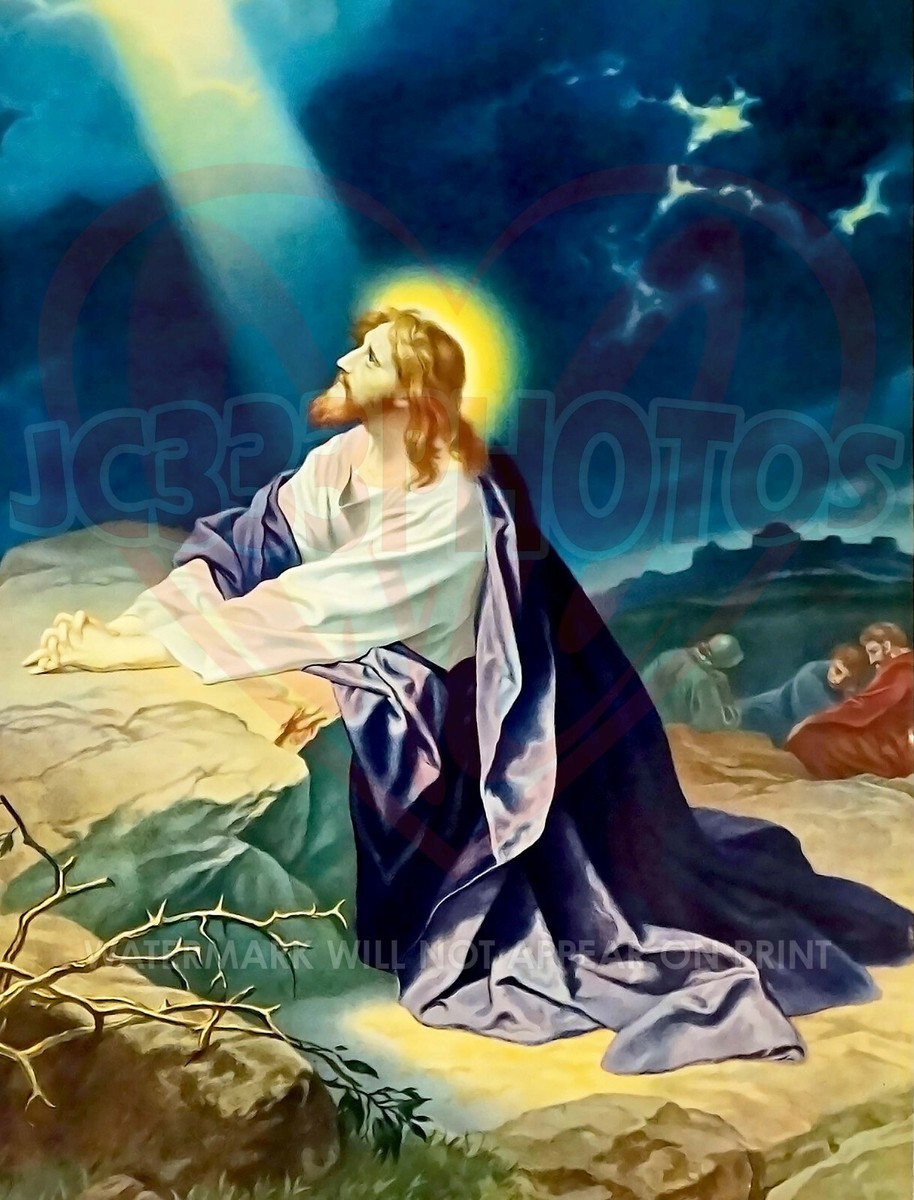 Jesus Christ Praying In The Garden Of Gethsemane