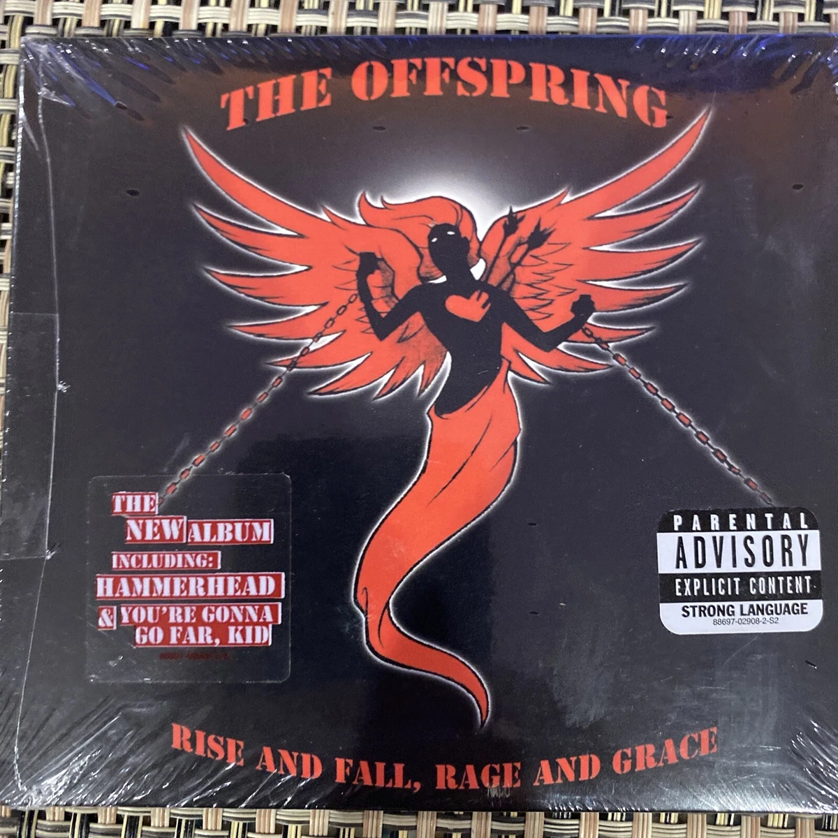 The Offspring Rise And Fall