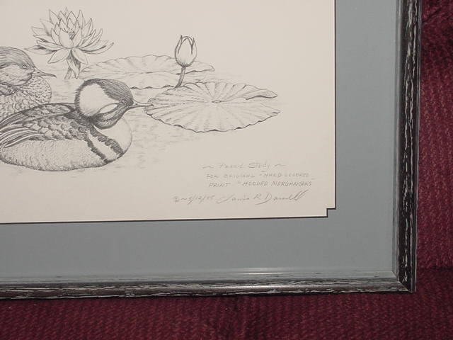 James R Darnell Pencil Study Hooded Merganser Print Limited Edition 167 ...