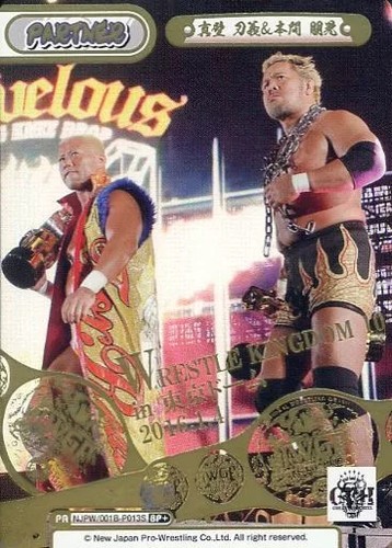 Bp /Pa/Packjapan Pro Wrestling Njpw/001B-P013S Bp Makabe Togi Honma ...