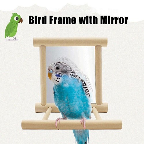 Wooden Bird Mirror Interactive Play Toy With Perch For Small Parrot ...