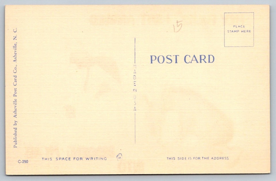 1940s RISQUE POSTCARD I'M GETTING MY ASS OUTA HERE TODAY, WAIT TILL YA ...