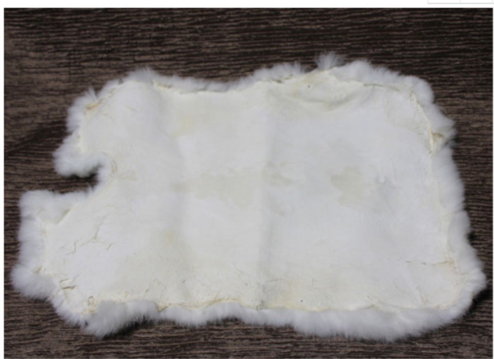 3x White High Grade Real Rabbit Fur Pelt Rabbit Skin For Pets Clothes ...