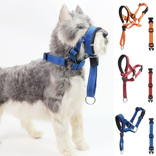 Dog Training Lead Rope Dog Mesh Muzzle Leads Outdoor Training Rope ...