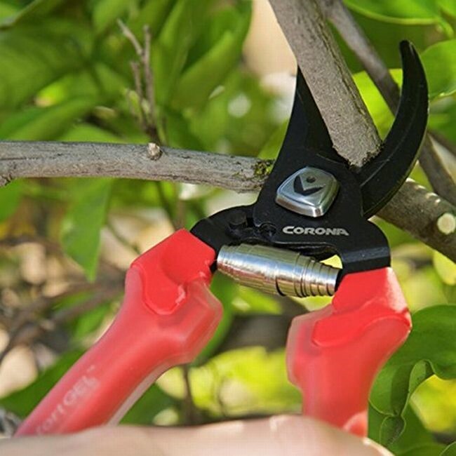 Corona Clipper ComfortGEL Bypass Pruner 3/4-inch Capacity | eBay