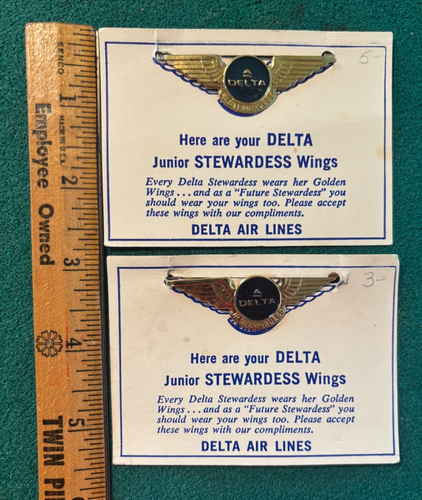 Lot of 2 - VINTAGE DELTA AIRLINE JUNIOR STEWARDESS WINGS METAL PINS ON ...