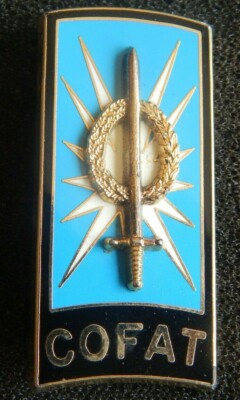 Insignia COFAT Training Army Ground G 4051 | eBay UK