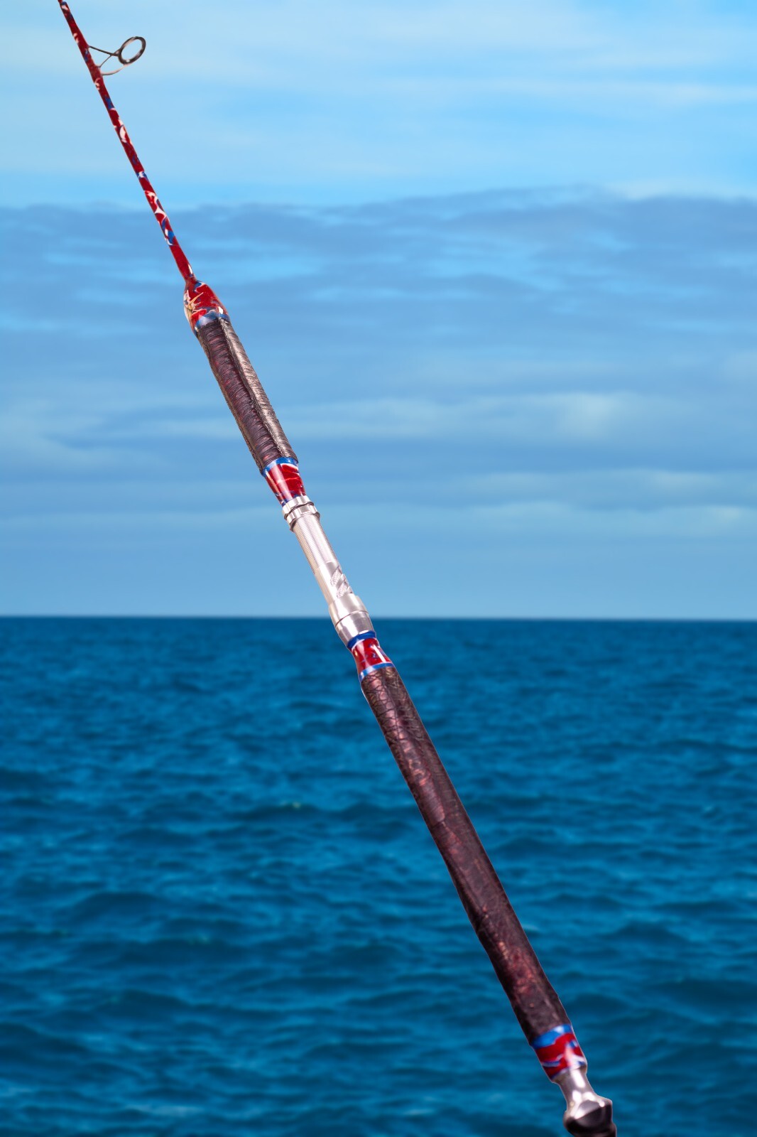 Custom Spinning Rod with Real Crocodile Skin Grips and Awesome Paint ...