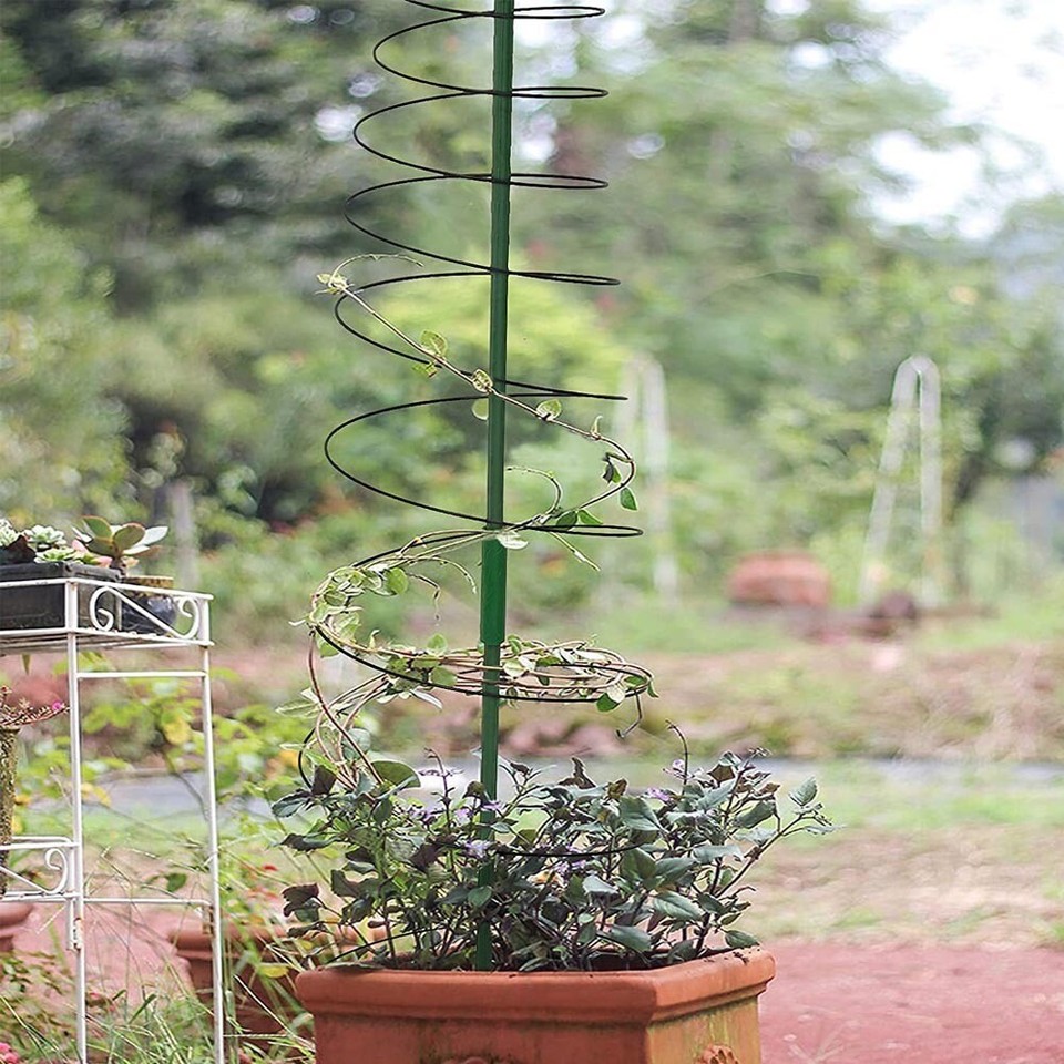 Spiral Climbing Plant Support Adjustable Garden Trellis Stake For Vines ...