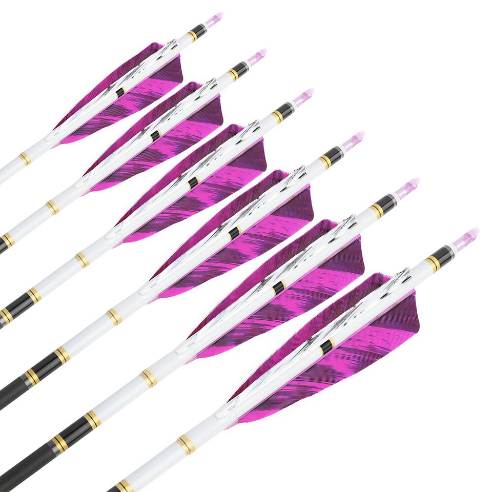 31" Archery Pure Carbon Arrows 4" Natural Feathers SP250-600 Bow ...