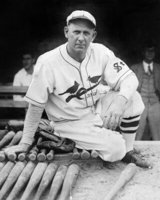 JESSE HAINES 8X10 PHOTO ST LOUIS CARDINALS BASEBALL PICTURE MLB | eBay