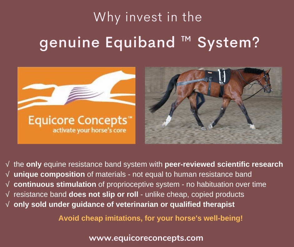 The GENUINE EQUIBAND® PRO SYSTEM for horse core conditioning! *FREE ...