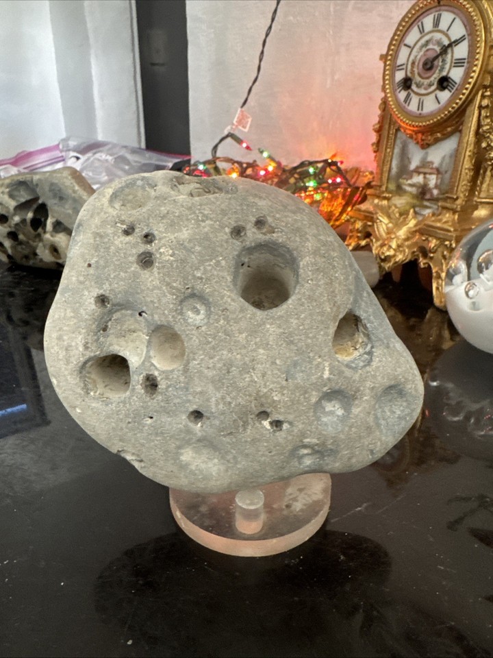 Rocks For Sale LARGE HAG STONE SOLID | eBay UK