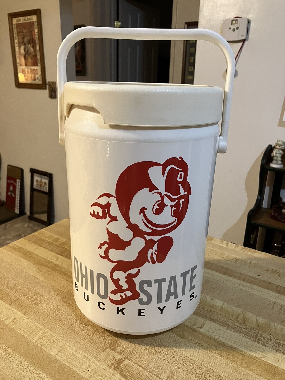 Ohio State Buckeyes Brutus The Buckeye Cooler Excellent Condition 1997 ...