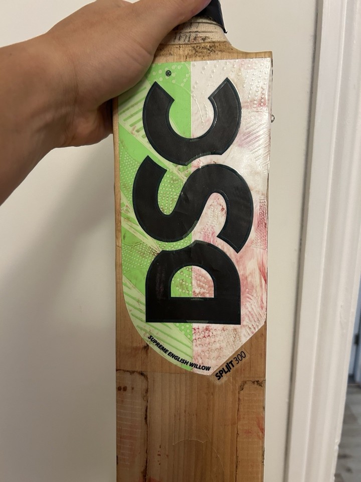 DSC Split 300 Cricket Bat Sh 2lbs8oz | eBay UK