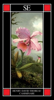 Franco Meli Maria Antonietta Prina Henry David Thoreau Camminare ...