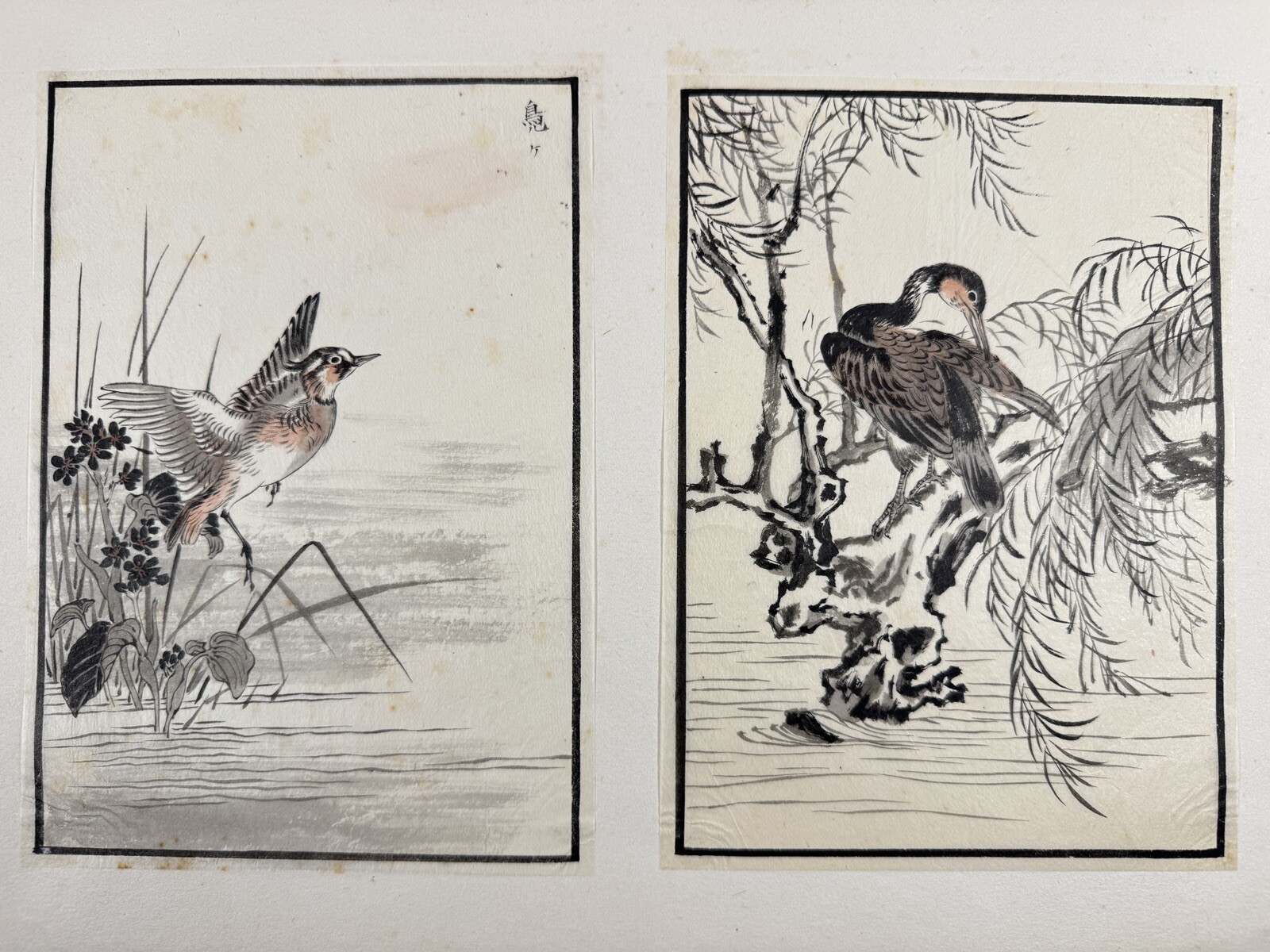 Japanese Drawing Book “Kachoshu” Picture of birds and flowers 49 ...